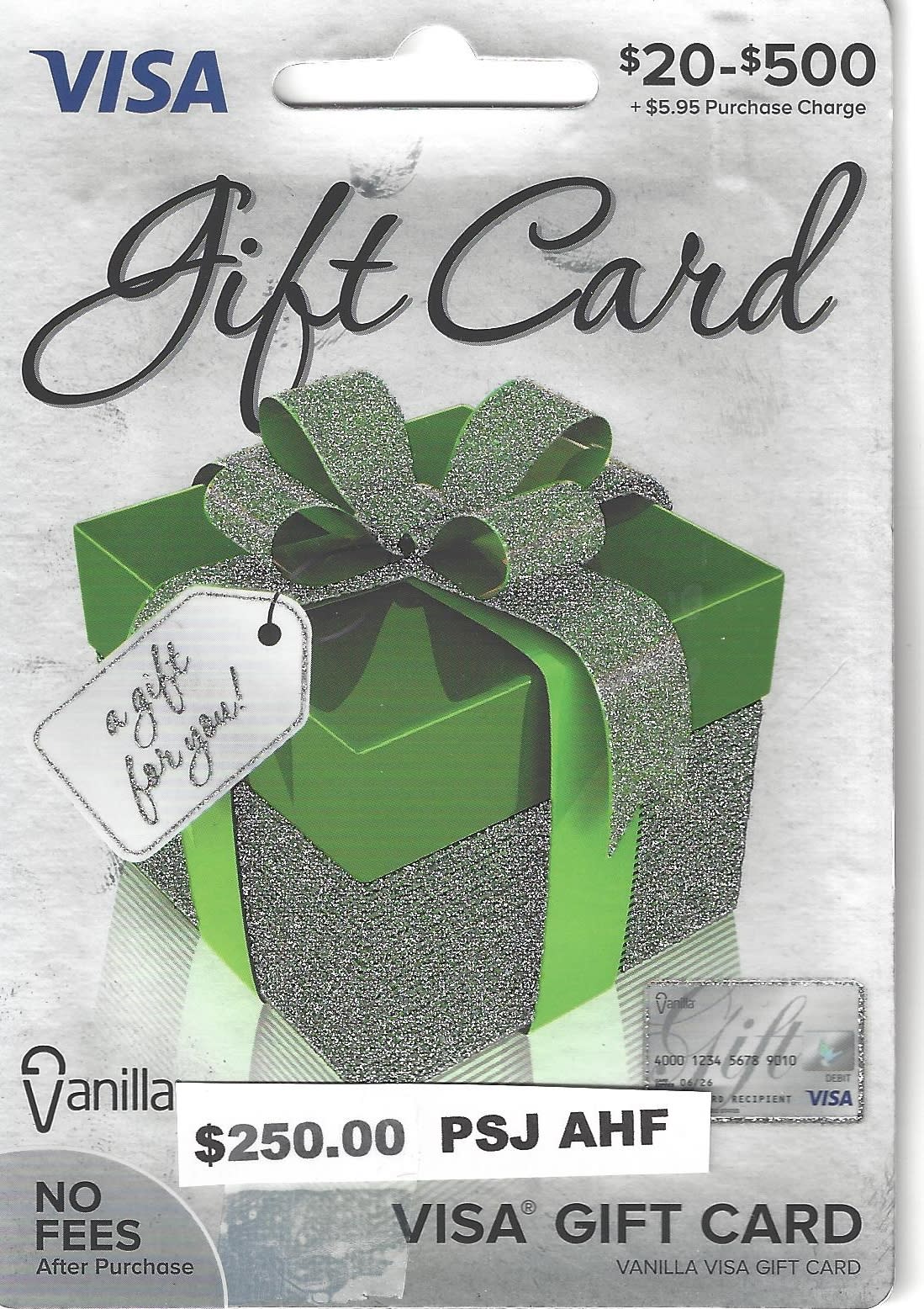 $250 Visa Gift Card